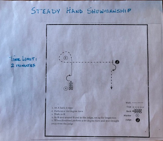 STEADY HAND SHOWMANSHIP CHALLENGE :: https://ontariopainthorse.ca